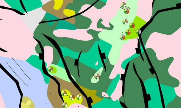 Subsurface Interpretation | TGS